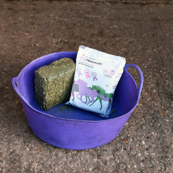 Equilibrium Lite Munch Hay Block - equichoice.co.uk