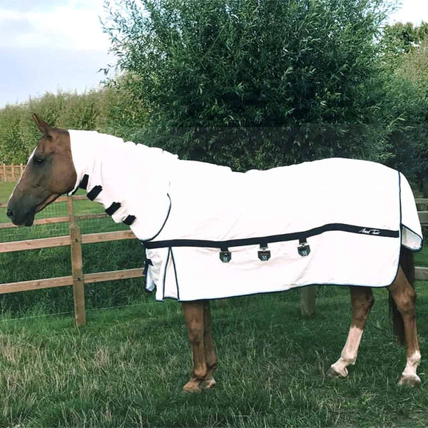 Fly Rugs - equichoice.co.uk